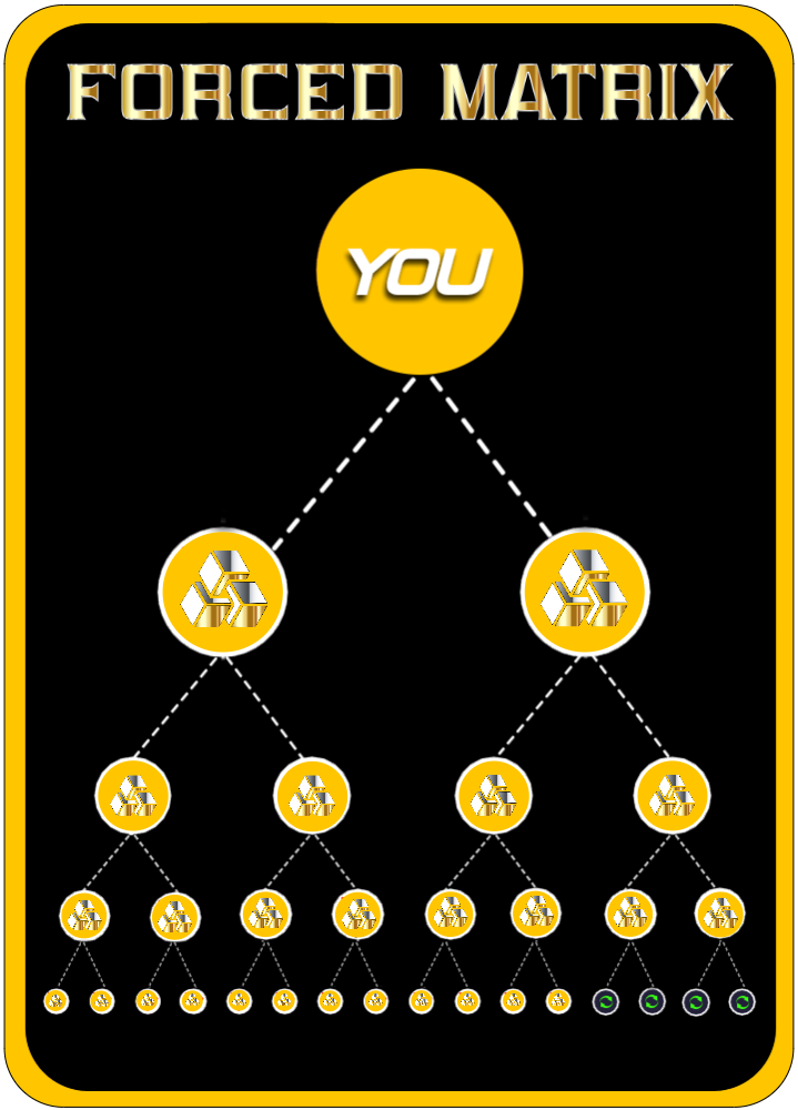 Forced Matrix DAO | World's first networking protocol on Polygon blockchain Forced Matrix DAO | World's first networking protocol on Polygon blockchain